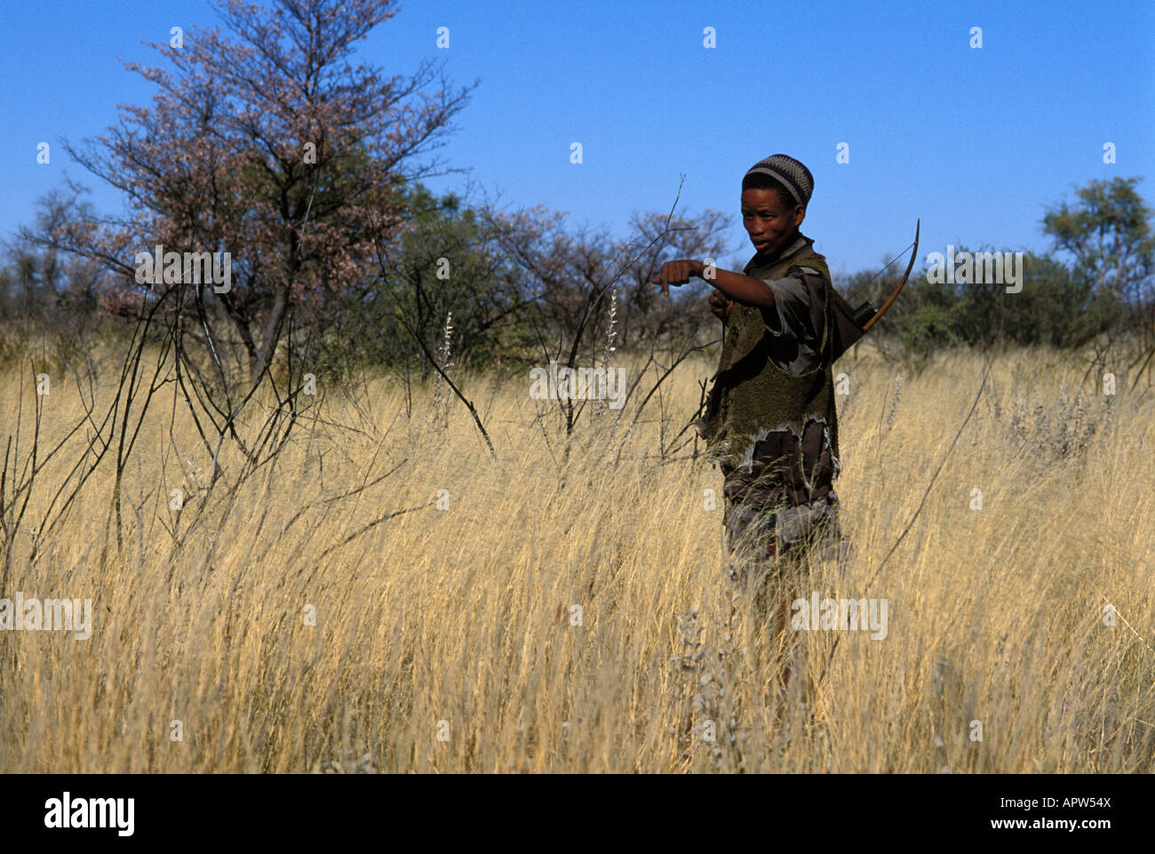 Bushman hunter tracking an animal in grass Namibia Stock Photo - Alamy