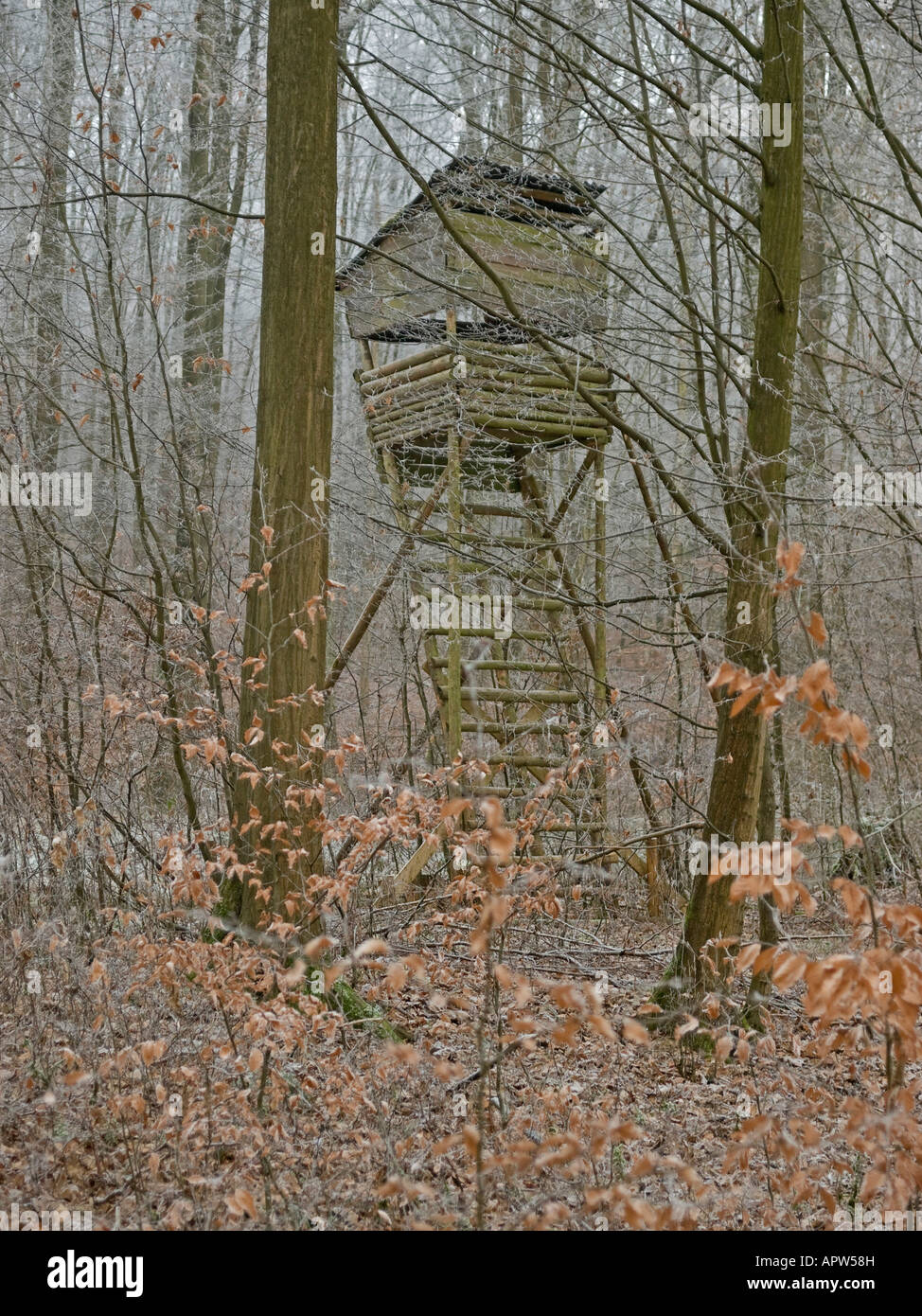 Rised hide hi-res stock photography and images - Alamy