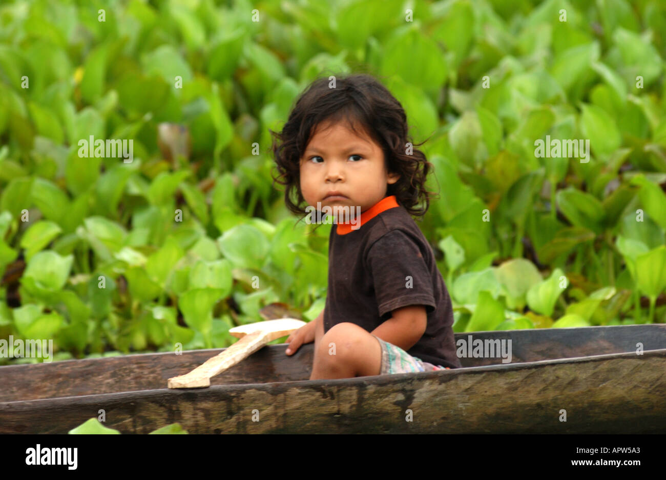 young amazon girl Stock Photo - Alamy