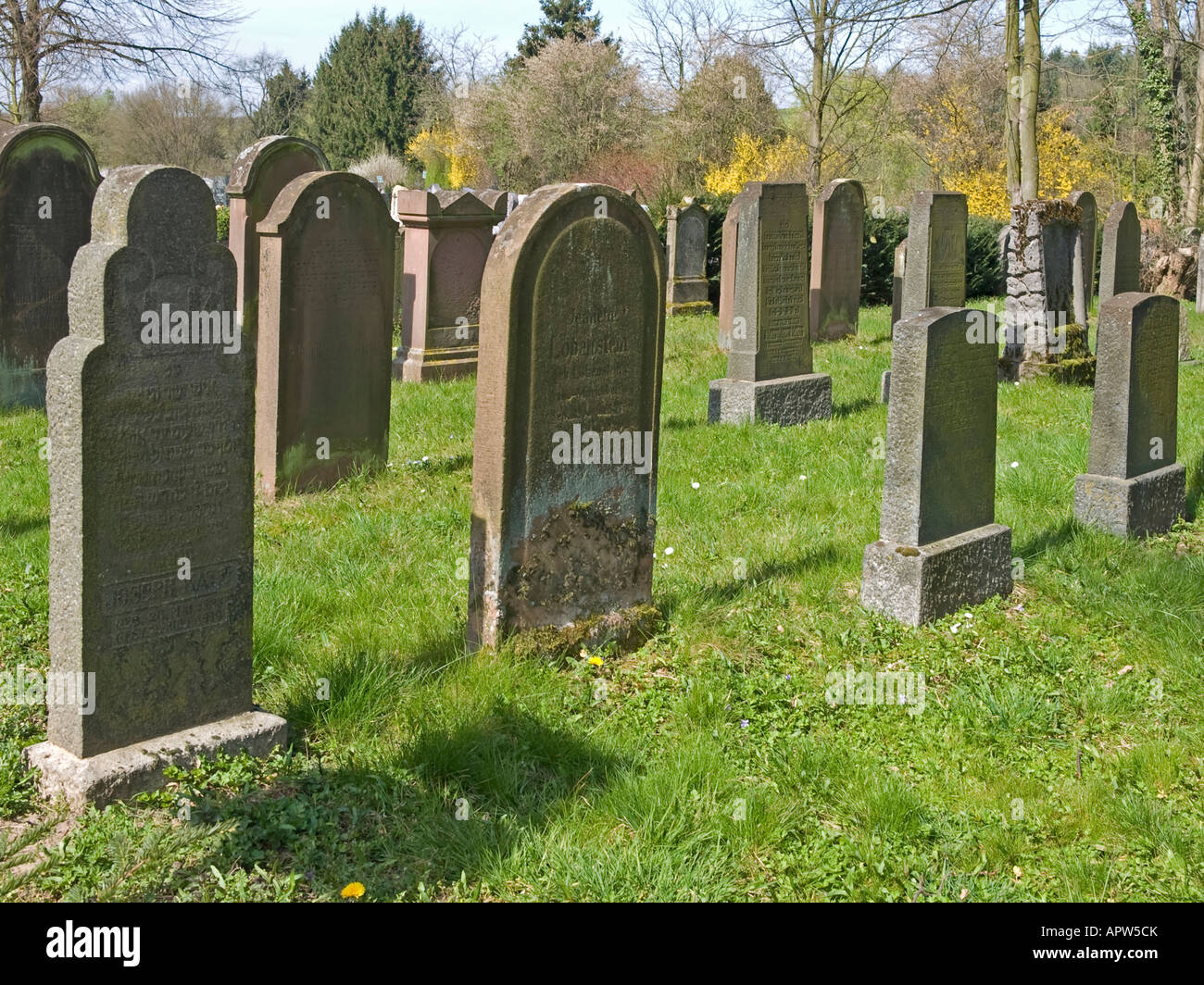 gravestones on the former jewish graveyard in Marköbel Hammersbach ...