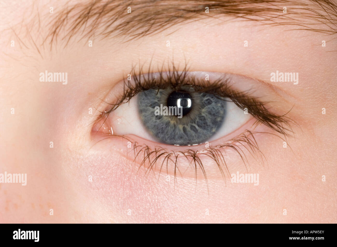 Close Up Of Young Boy's Eye Stock Photo - Alamy