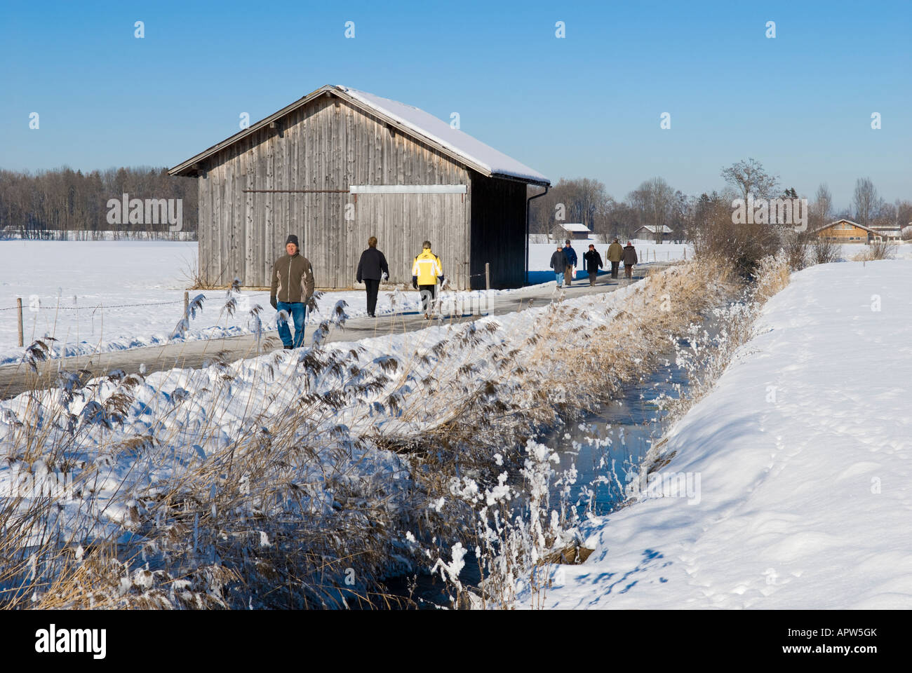 Winter landscape, between Altstaedten and Fischen Oberallgaeu Bavaria ...