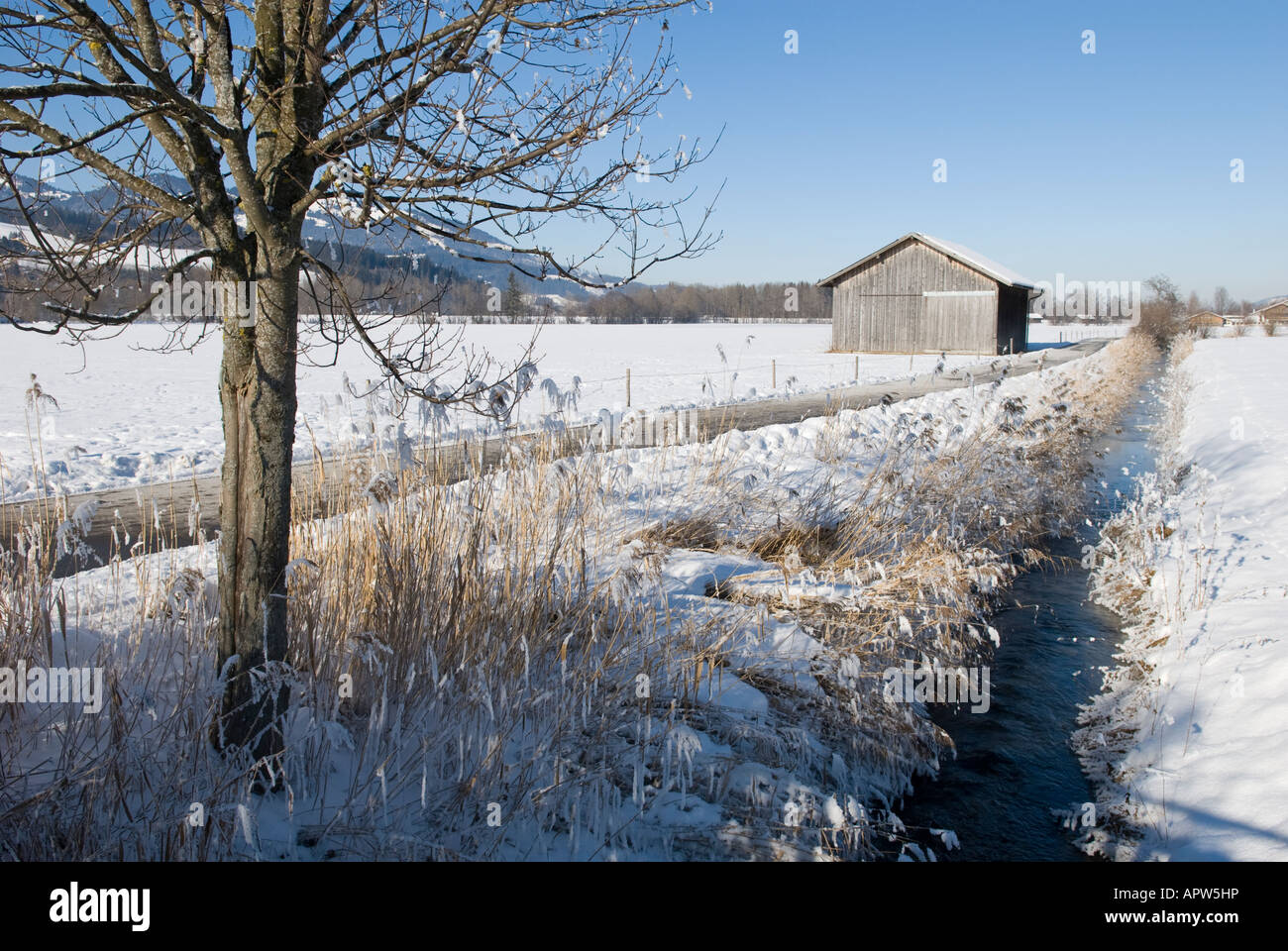 Winter landscape, between Altstaedten and Fischen Oberallgaeu Bavaria ...