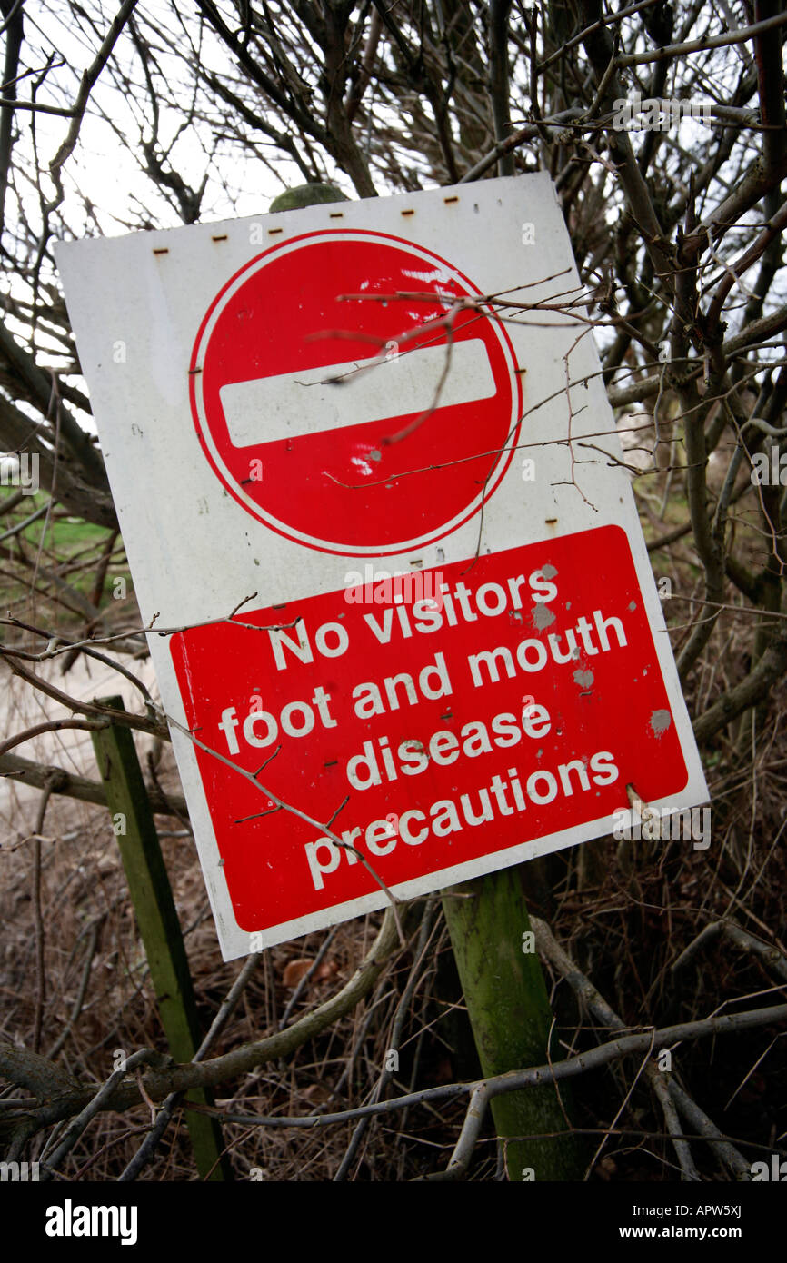 No Entry Sign warning of foot and mouth disease Stock Photo - Alamy