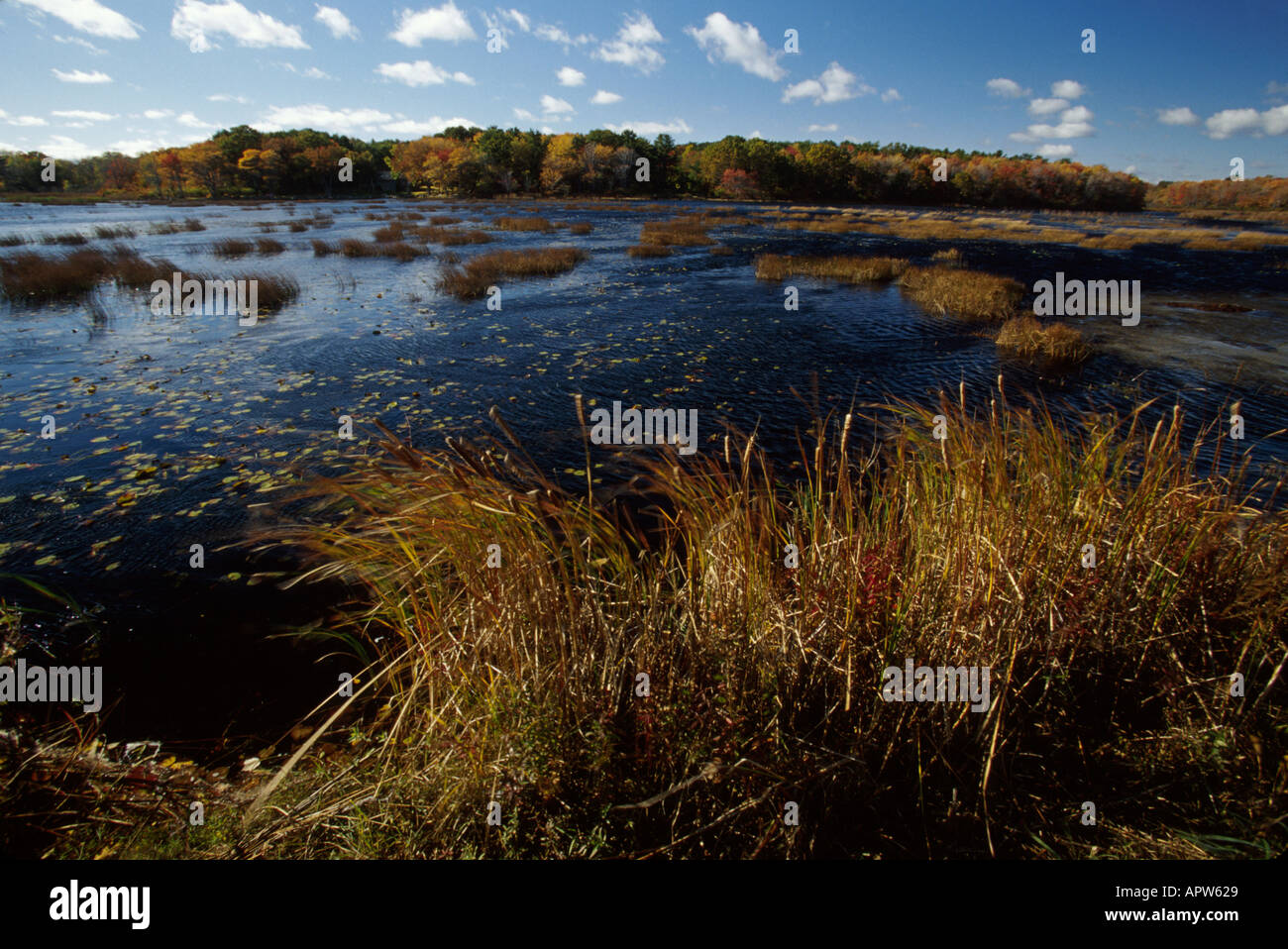 Nh001 hi-res stock photography and images - Alamy