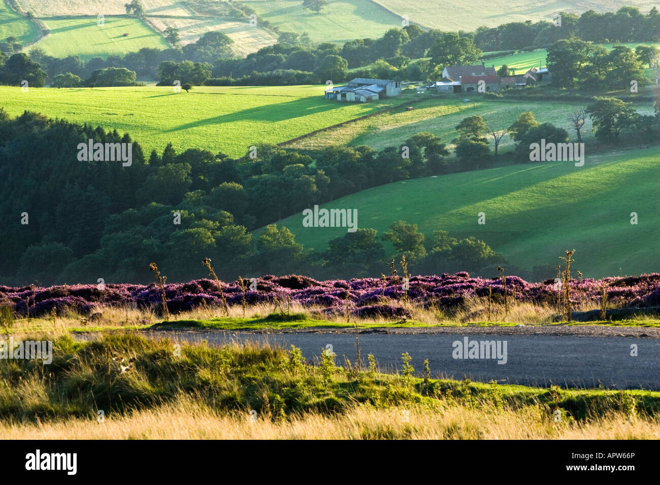 Farm and road in Farndale on the North York Moors National Park in the ...