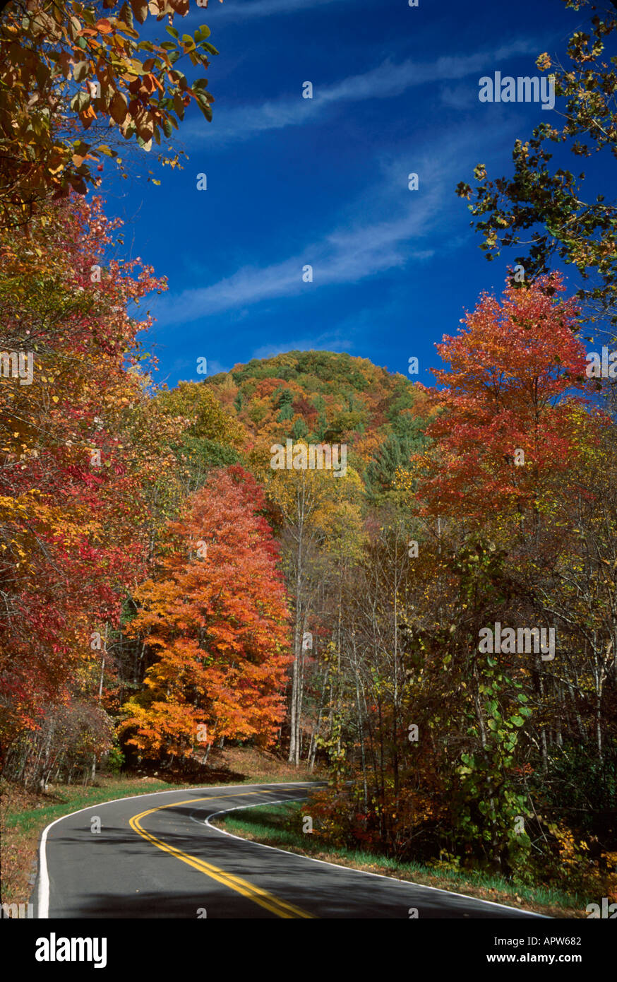 Virginia Mount Rogers National Recreation Area Green Cove fall colors ...