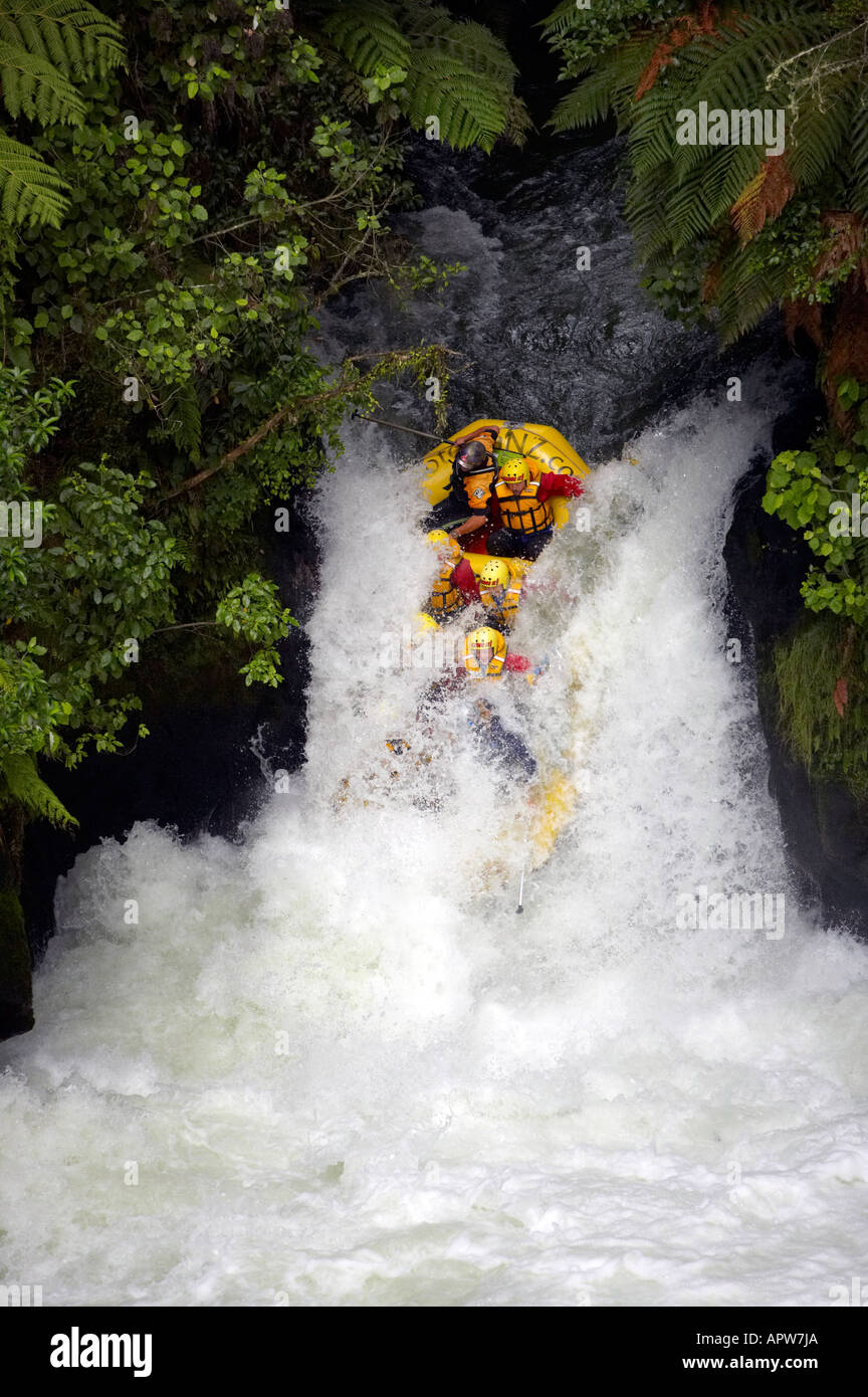 Tutea hi-res stock photography and images - Alamy