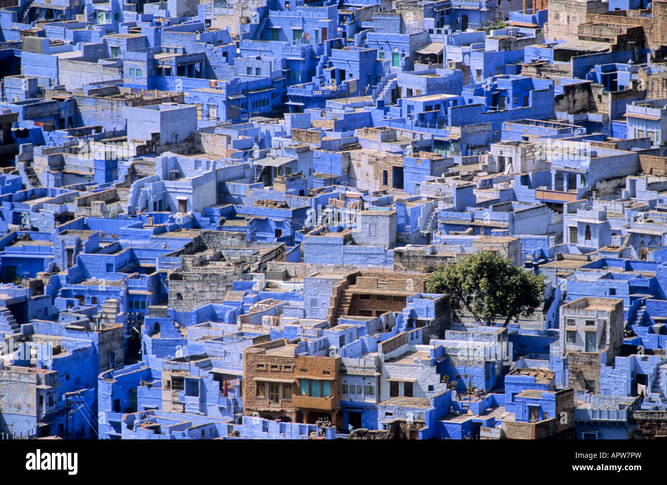 Jodhpur the Blue City, Rajasthan IN Stock Photo - Alamy