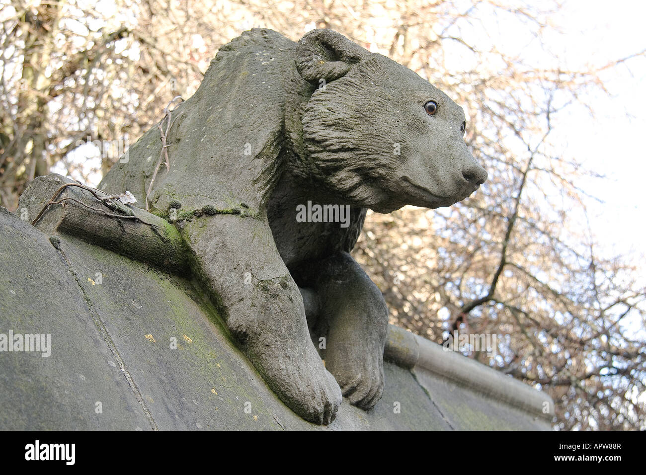 Bear atop the Animal Wall Castle St Cardiff Stock Photo - Alamy