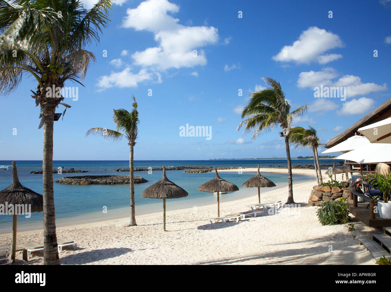 A Sunny Sandy Coconut Tree Lined Beach in Mauritius Stock Photo - Alamy