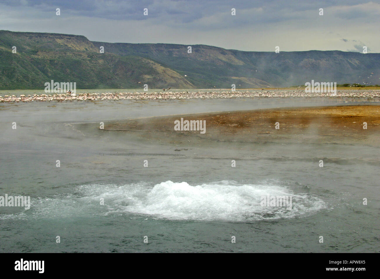 hot springs at lake Bogoria, Kenya Stock Photo - Alamy