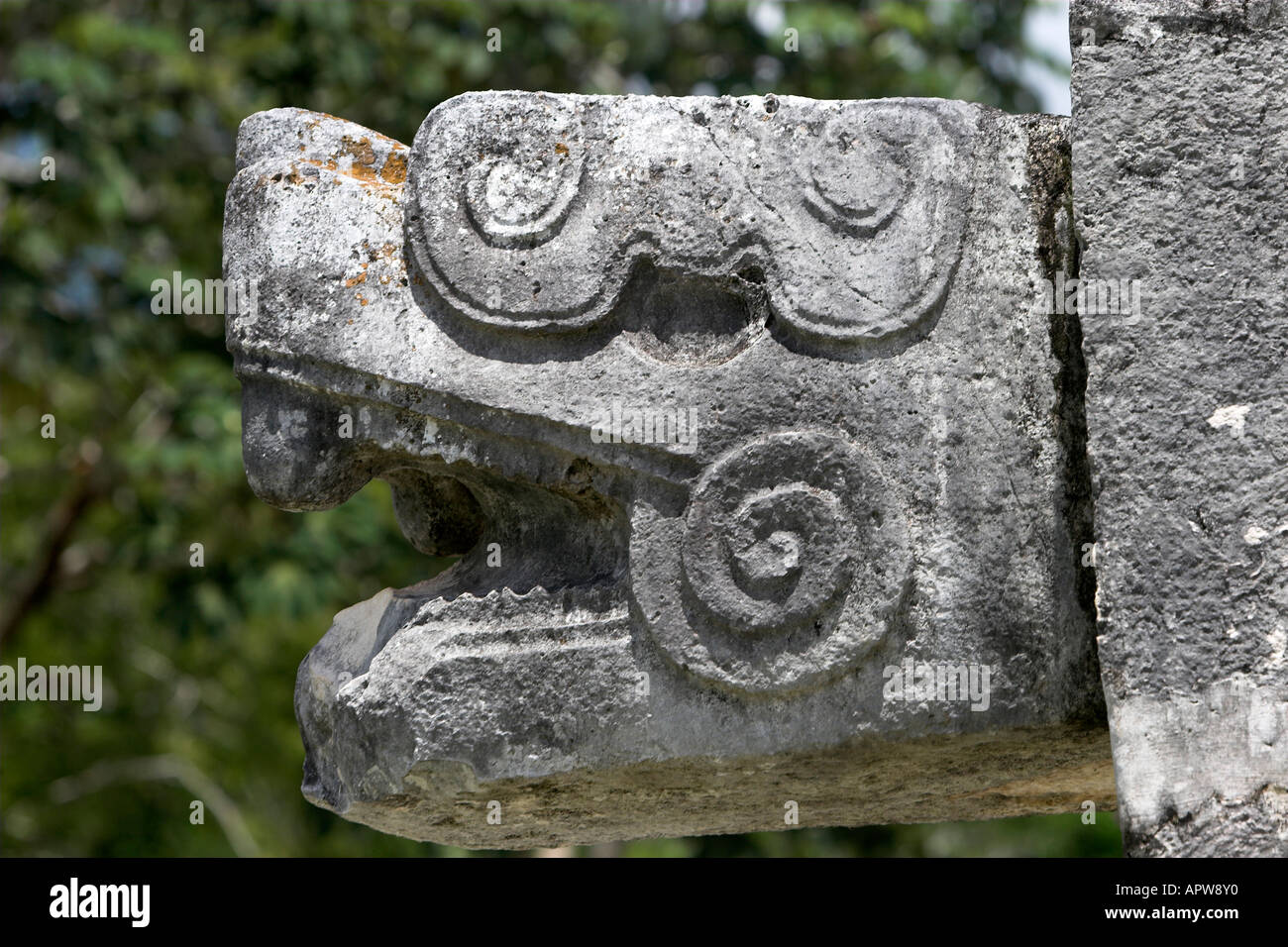 Stone gargoyle Chichen Itza Yucatan Mexico Stock Photo - Alamy