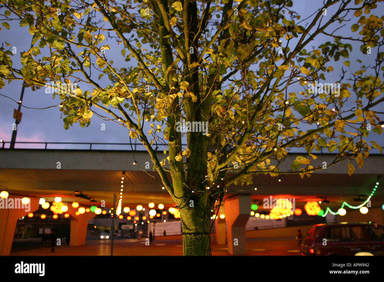 Street tree taken at night in the centre of Birmingham with a motorway ...