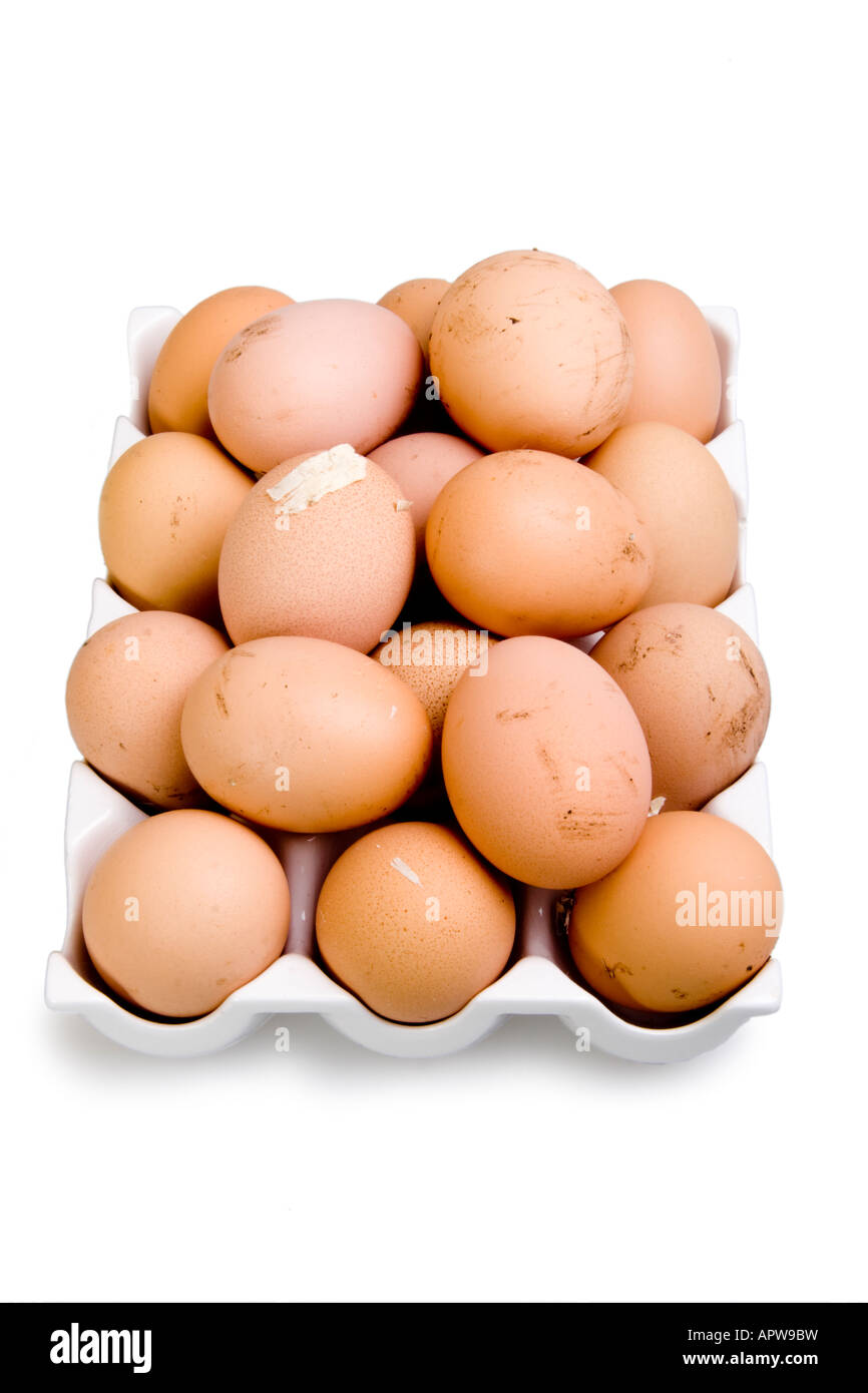Free Range Organic Chickens Eggs Stock Photo Alamy