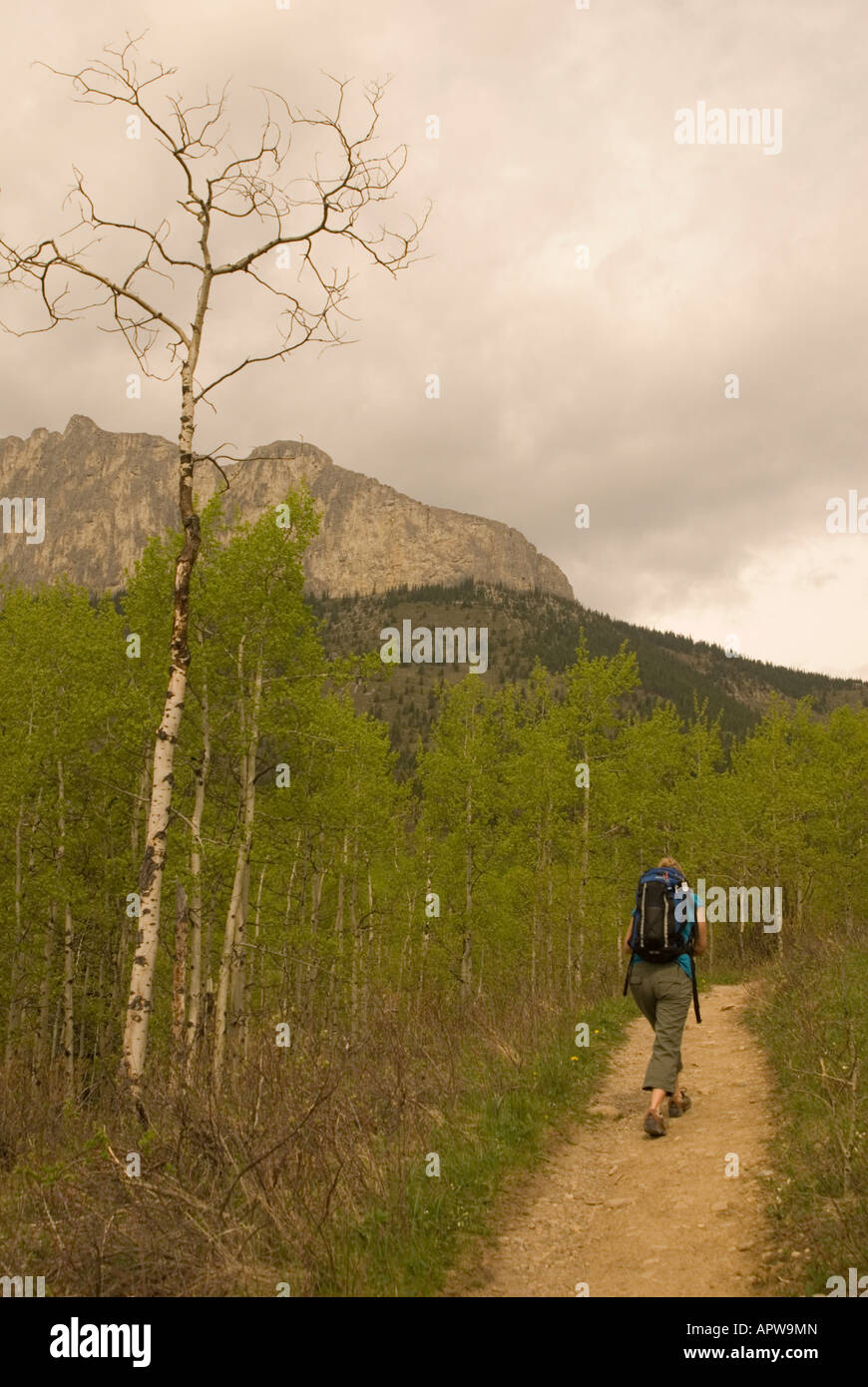 hiking at Yamnuska, Rocky Mountains, Alberta Stock Photo - Alamy