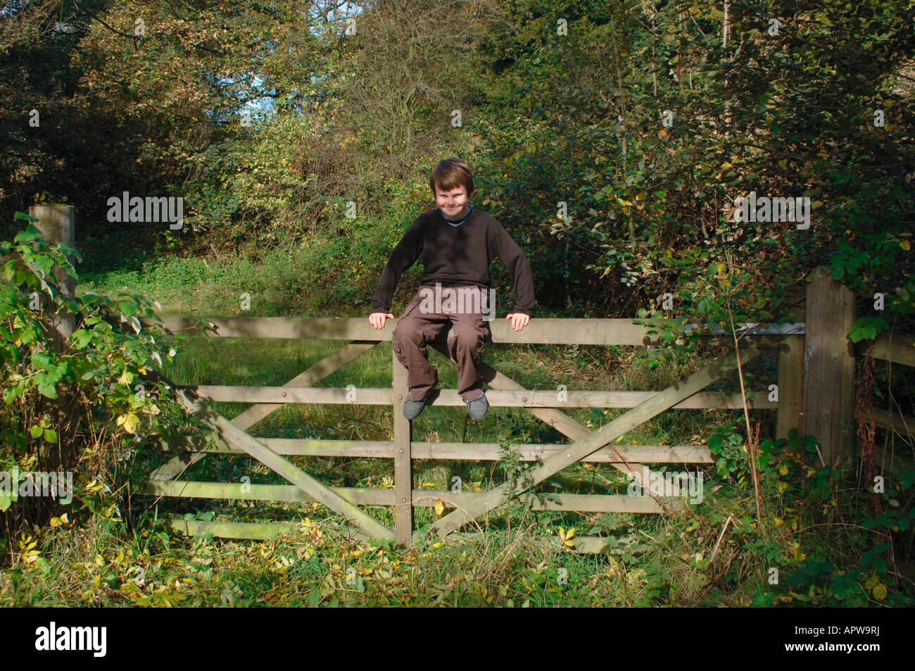 Boy on gate hi-res stock photography and images - Alamy