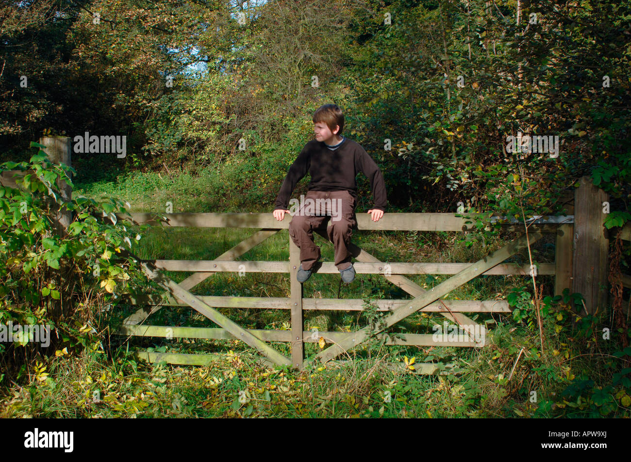 Boy sitting on wooden gate hi-res stock photography and images - Alamy