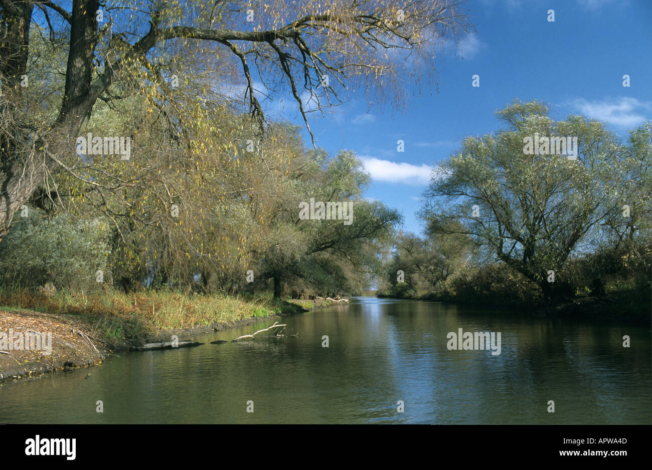 DANUBE DELTA ROMANIA Stock Photo - Alamy