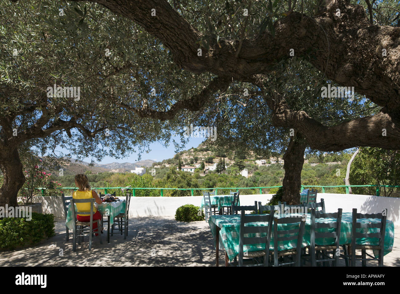 Traditional Greek Taverma, Mountain Village of Prina, Lasithi Province ...