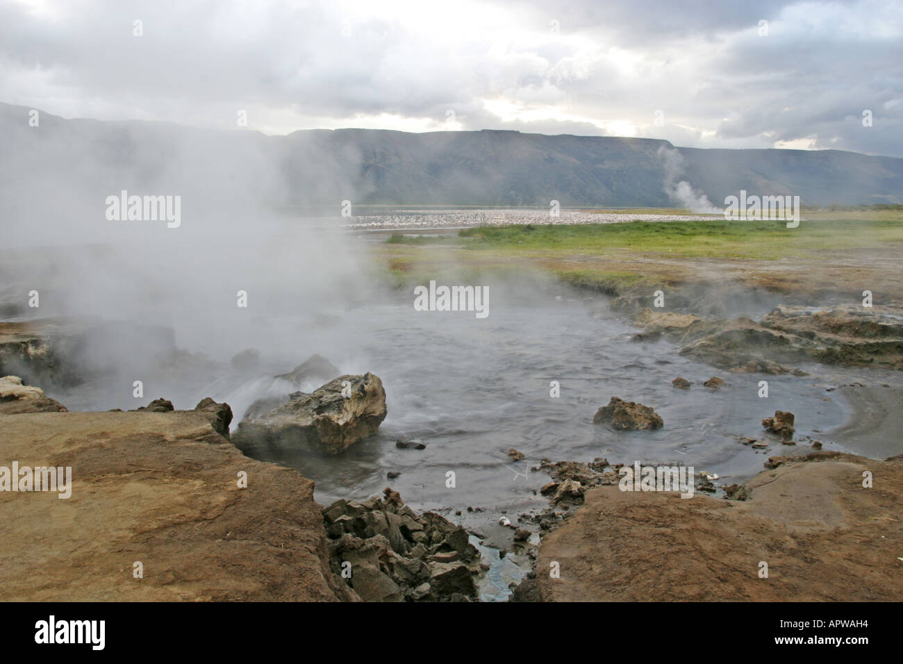 Hot spring lake bogoria kenya hi-res stock photography and images - Alamy
