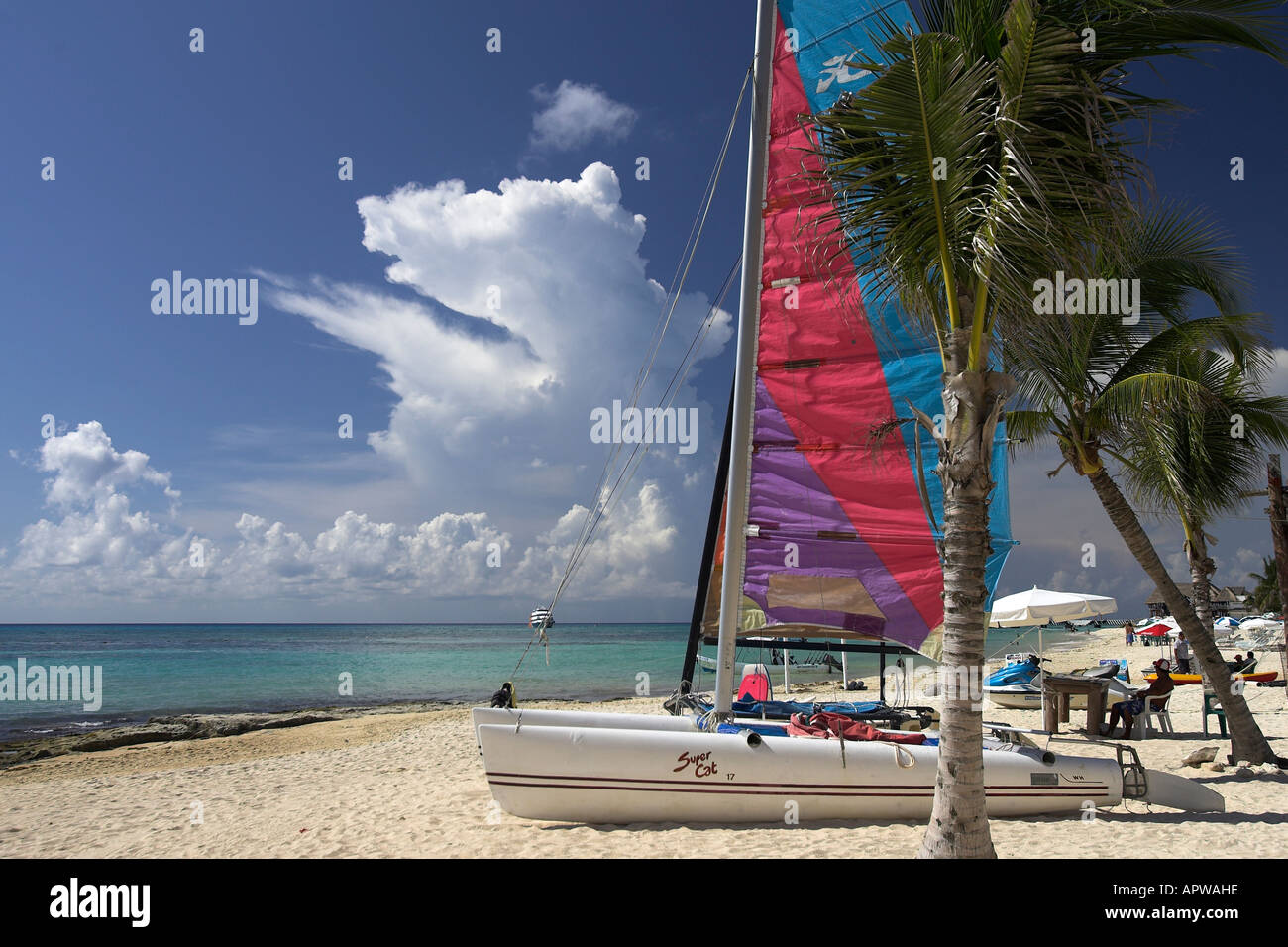 Sailing catamaran beach Playa del Carmen Mexico Stock Photo - Alamy