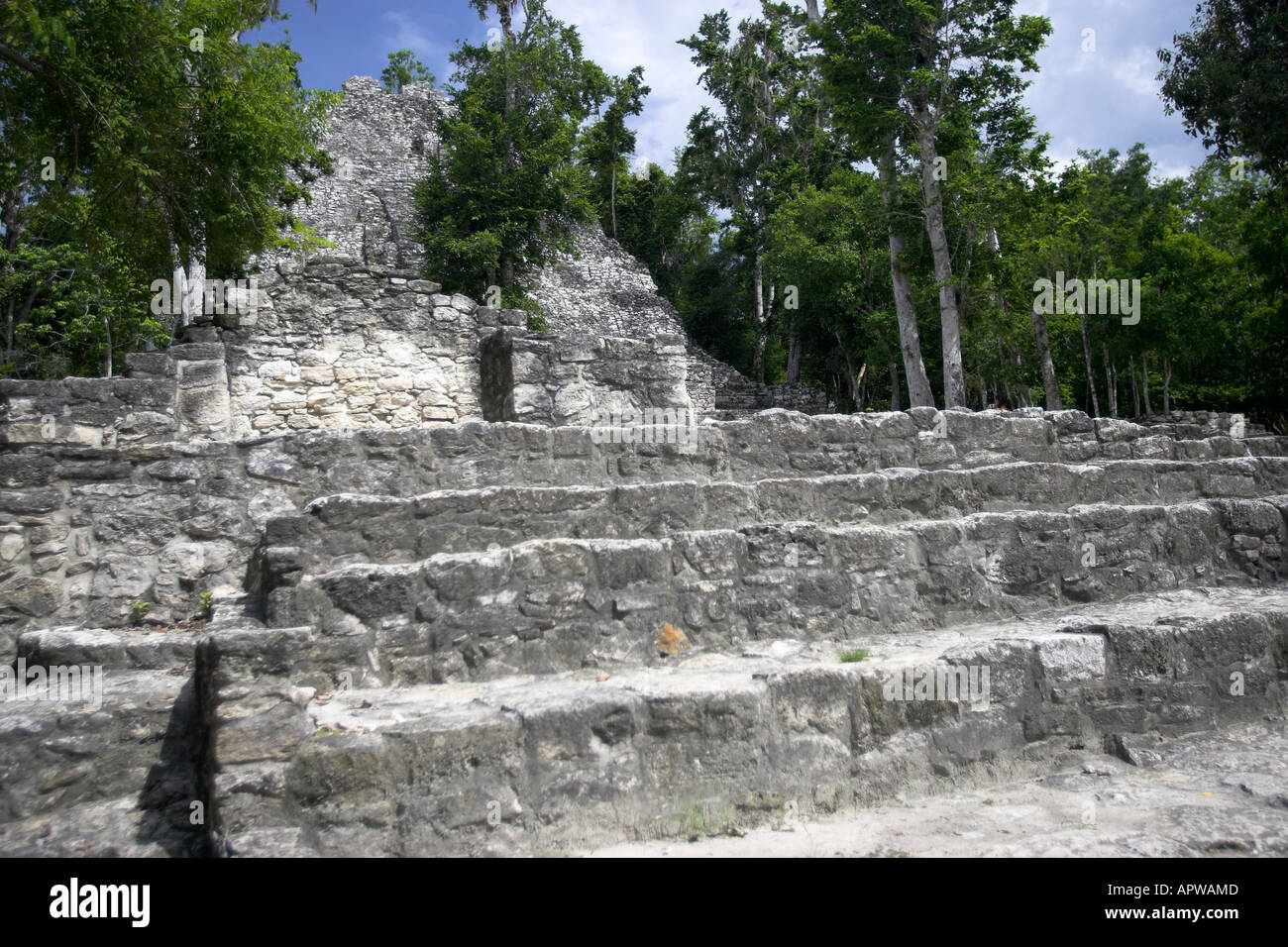 Coba pyramid Mayan jungle ruins Mexico Stock Photo - Alamy