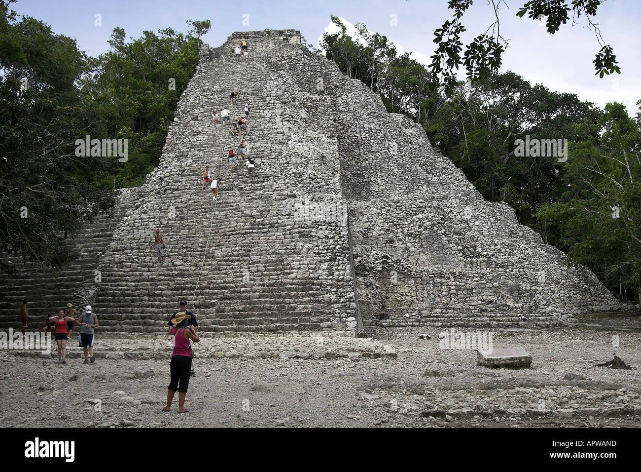 Mayan jungle ruins Nohoch Mul Great Pyramid Coba Quintana Roo Mexico ...