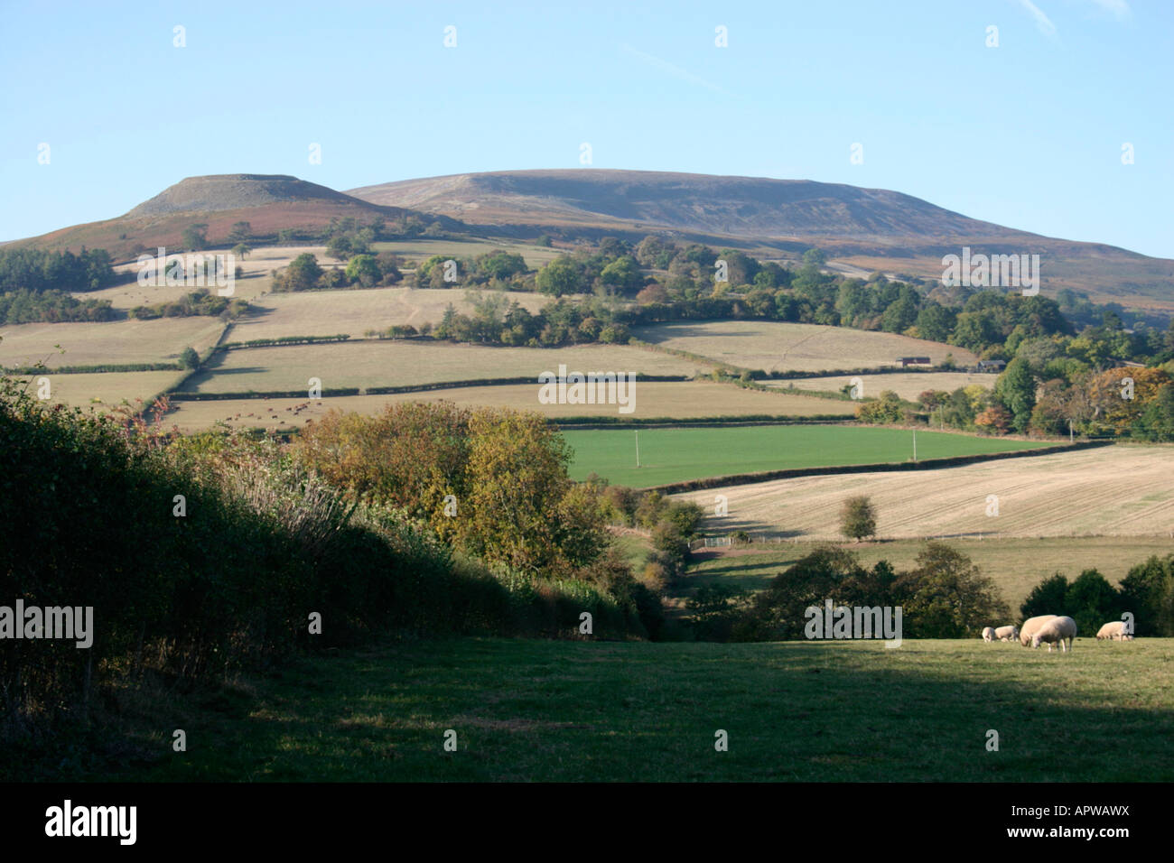 Footpaths table mountain hi-res stock photography and images - Alamy