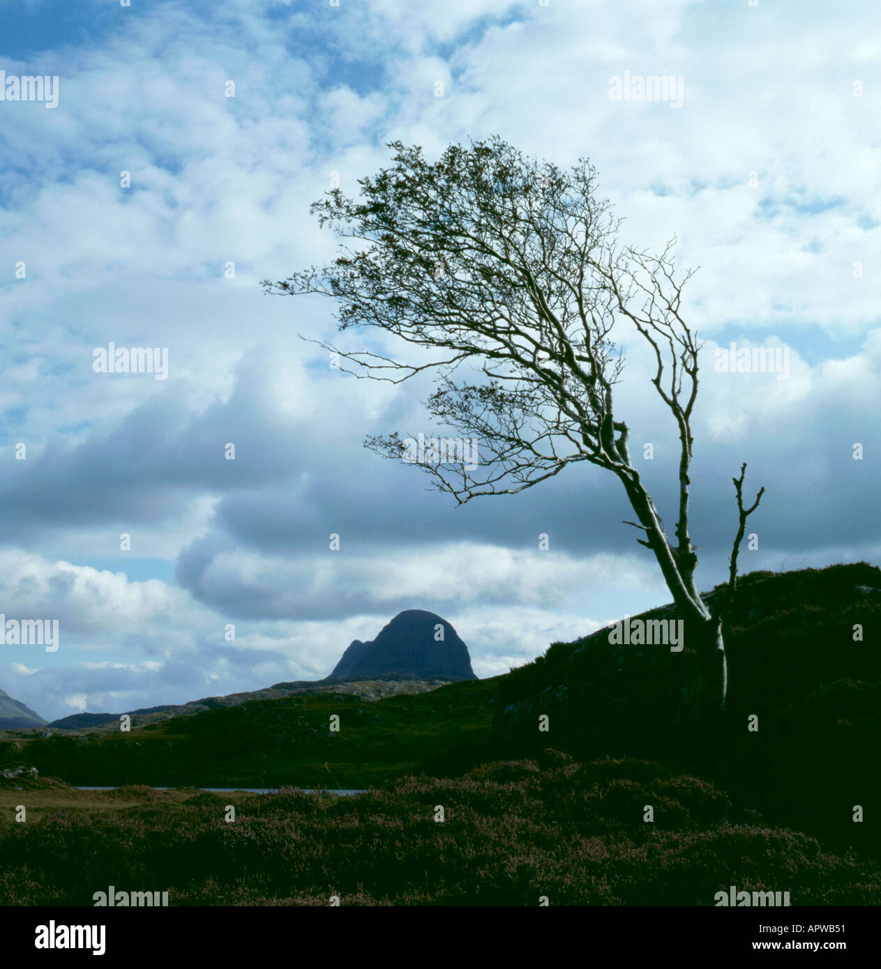 Suilven seen from near Lochinver, Sutherland, Highland Region, Scotland ...