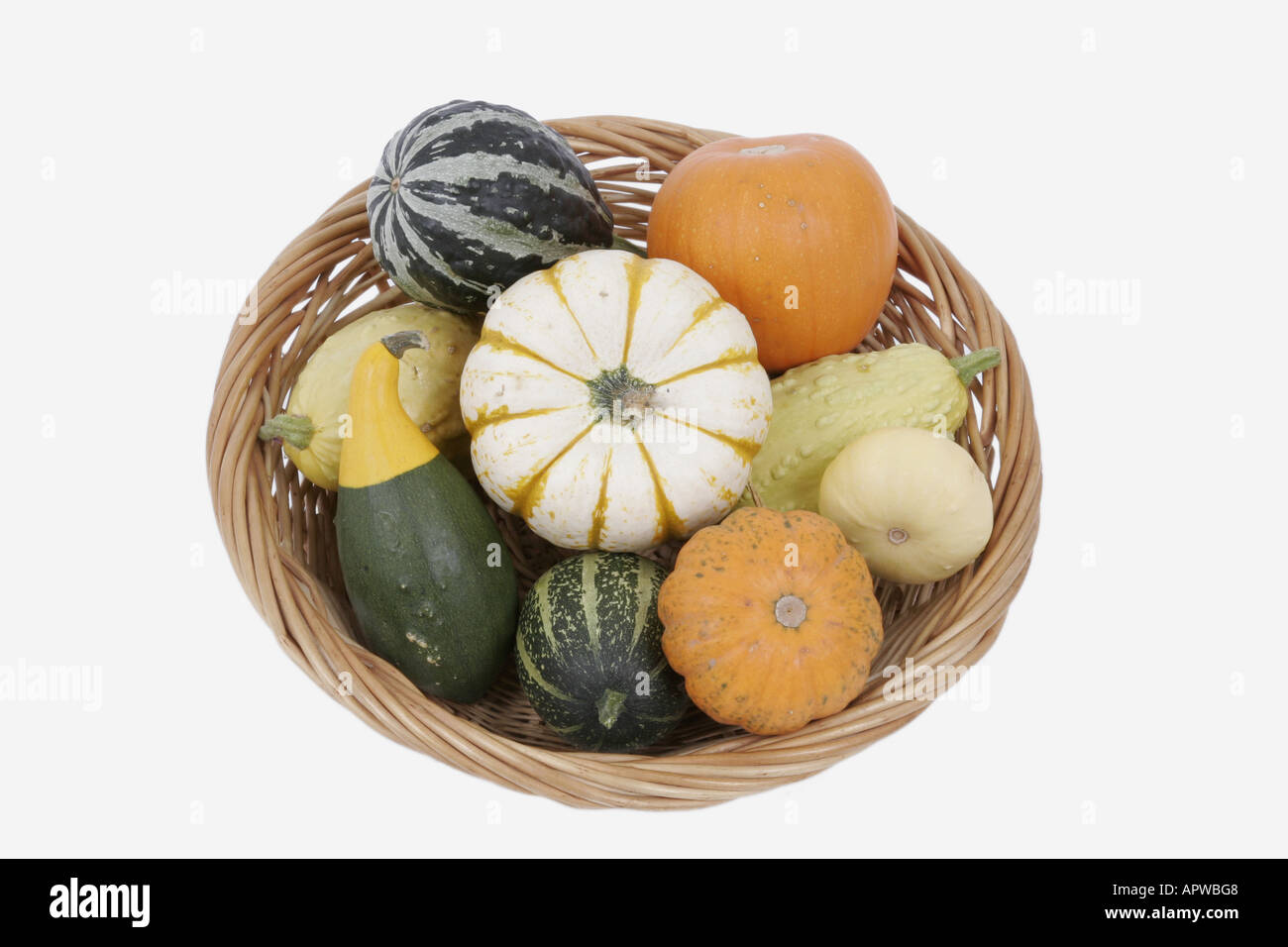 ornamental pumpkin (Cucurbita pepo convar. microcarpina), different ...