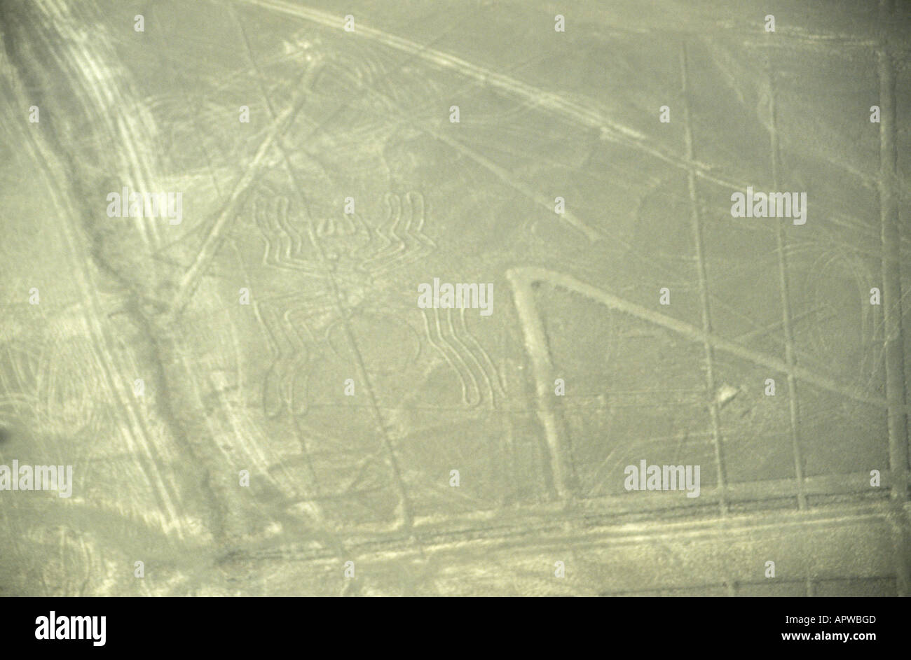 Aerial view of the spider in the Nazca Desert, Peru Stock Photo - Alamy