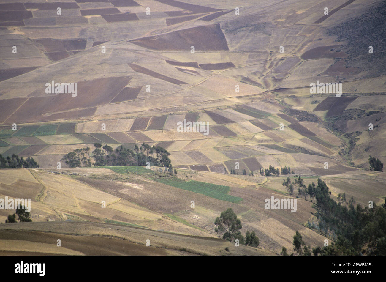 Mosaic of agricultural fields in the Peruvian Andes Stock Photo - Alamy