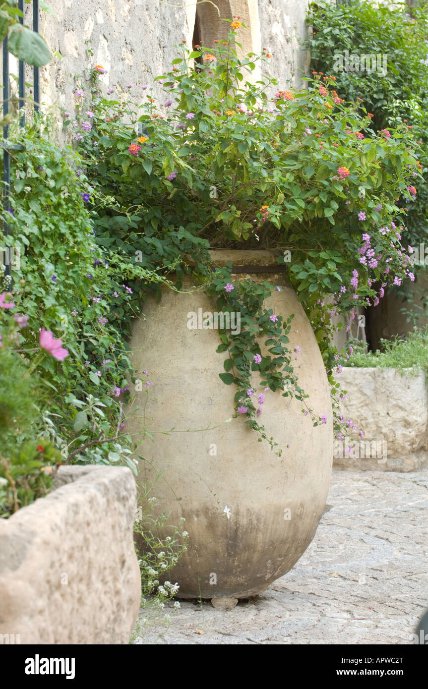 pot and plants in france Stock Photo - Alamy