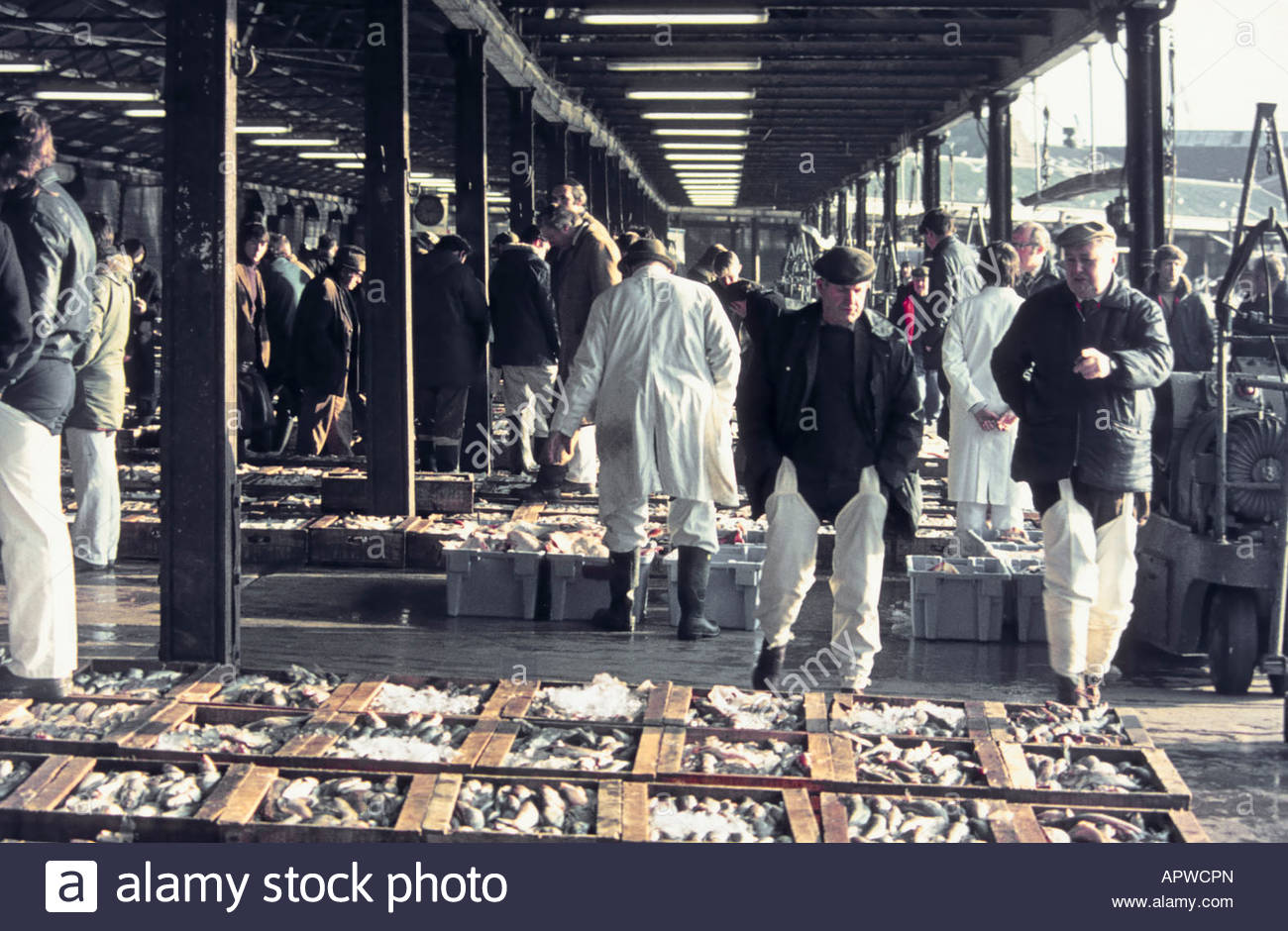Aberdeen Wholesale Fish Market Stock Photos & Aberdeen Wholesale Fish ...
