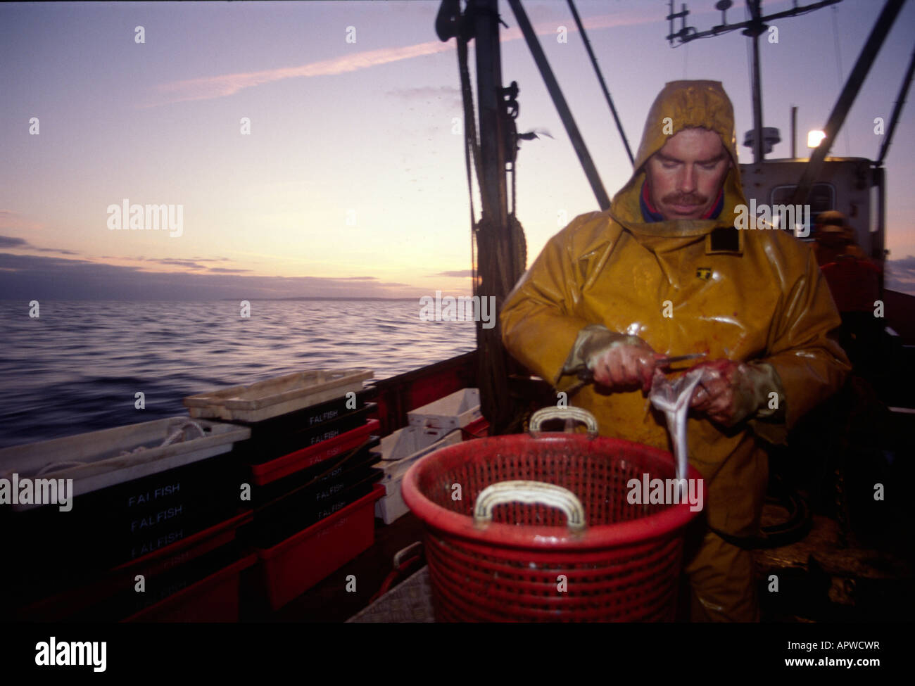 small scale commercial fishery Stock Photo - Alamy