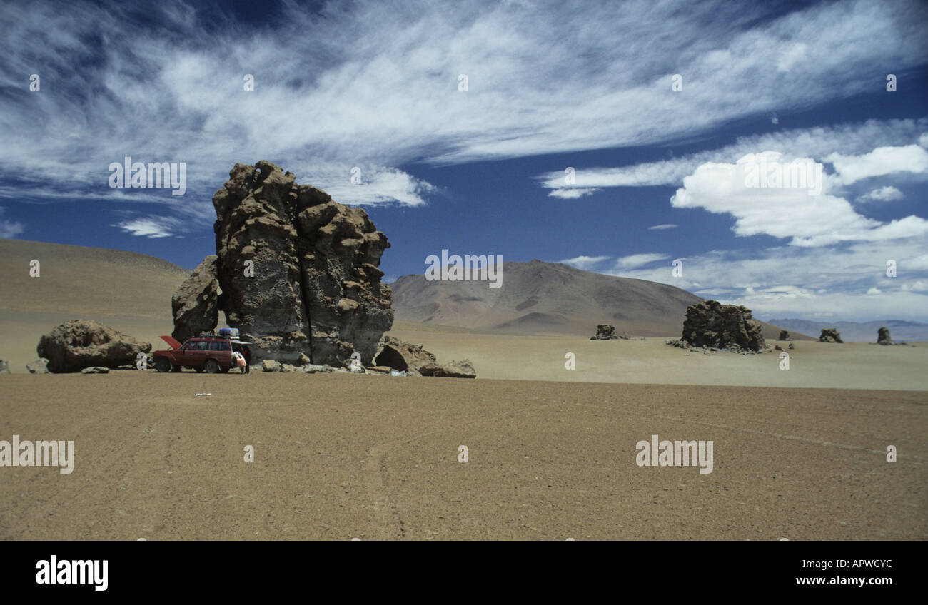 The bizarre eroded rock formations known as the Valles de Rocas in the ...