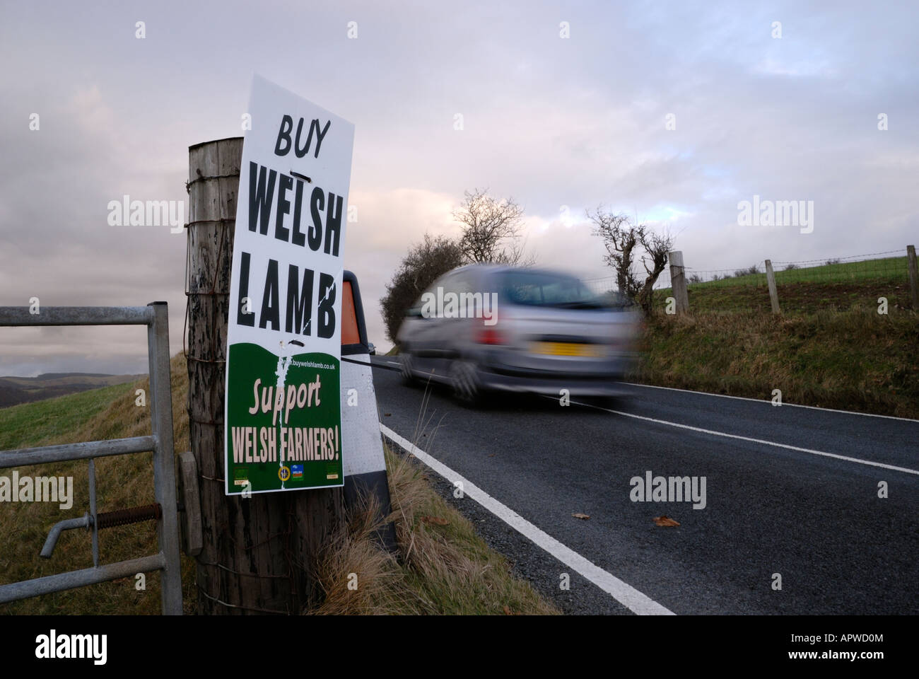 Poster on a gatepost promoting Welsh Lamb Stock Photo - Alamy