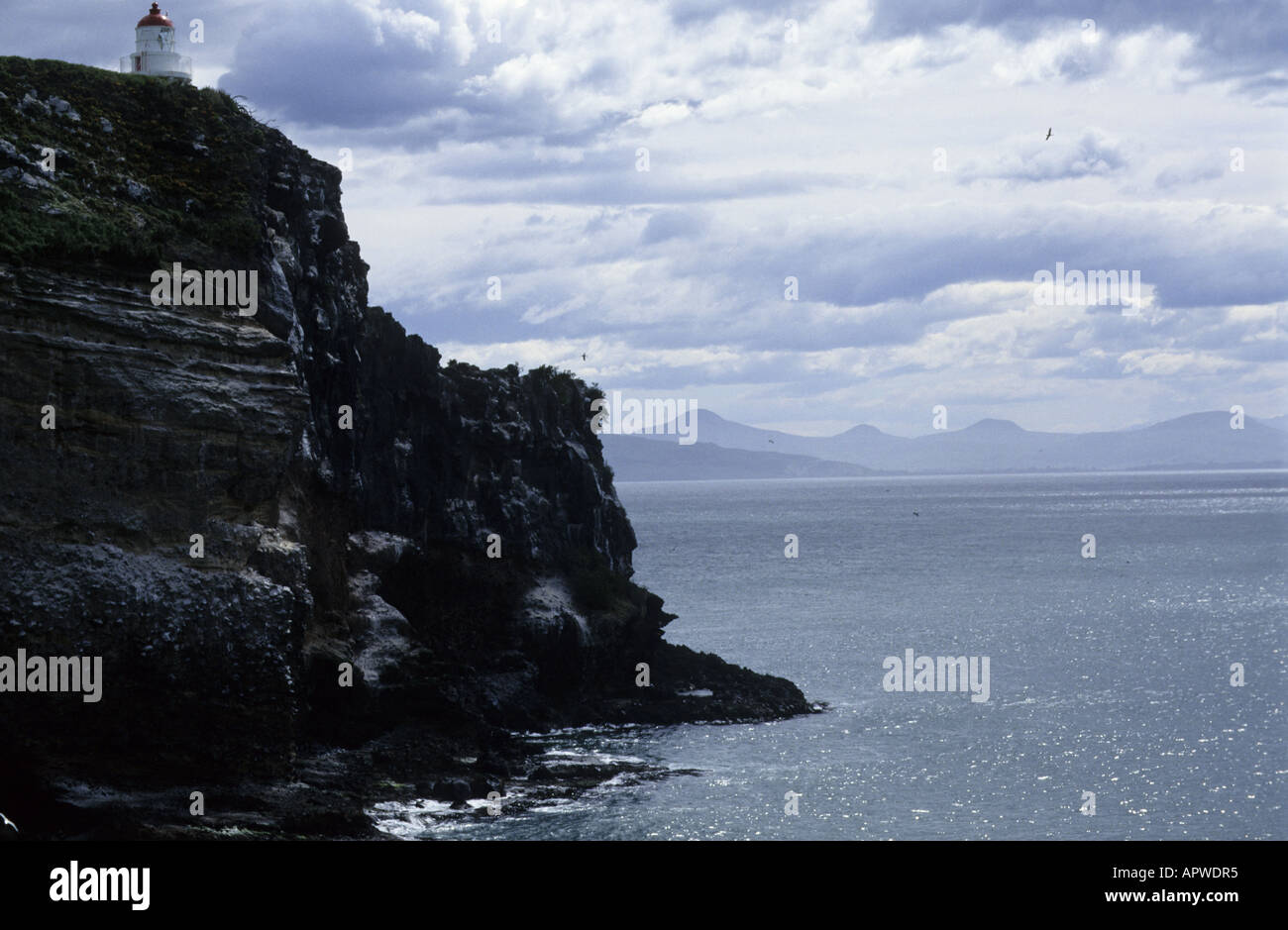 The lighthouse on Taiaroa Head at the end of Otago Peninsula, near ...
