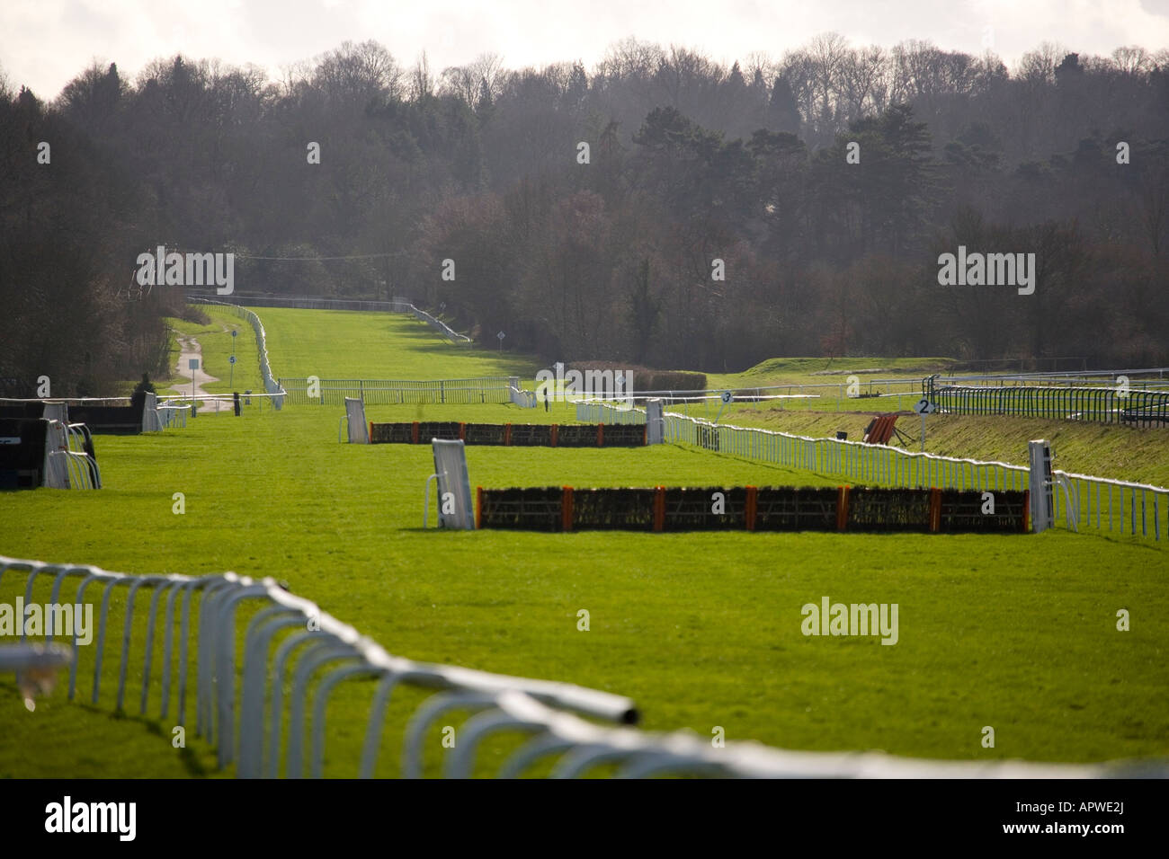 Lingfield horse racing hi-res stock photography and images - Alamy