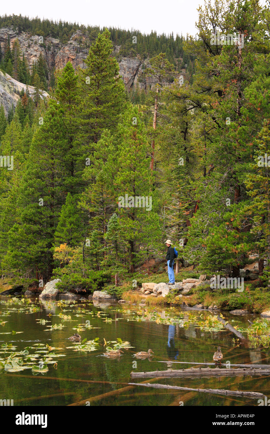 Nymph Lake, Rocky Mountain National Park, Estes Park, Colorado Stock ...