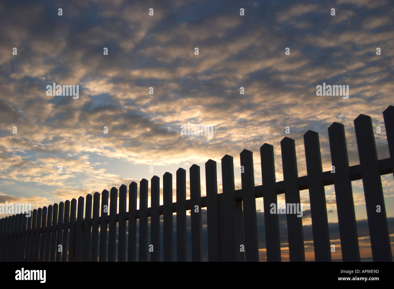 Beauty beyond boundaries hi-res stock photography and images - Alamy