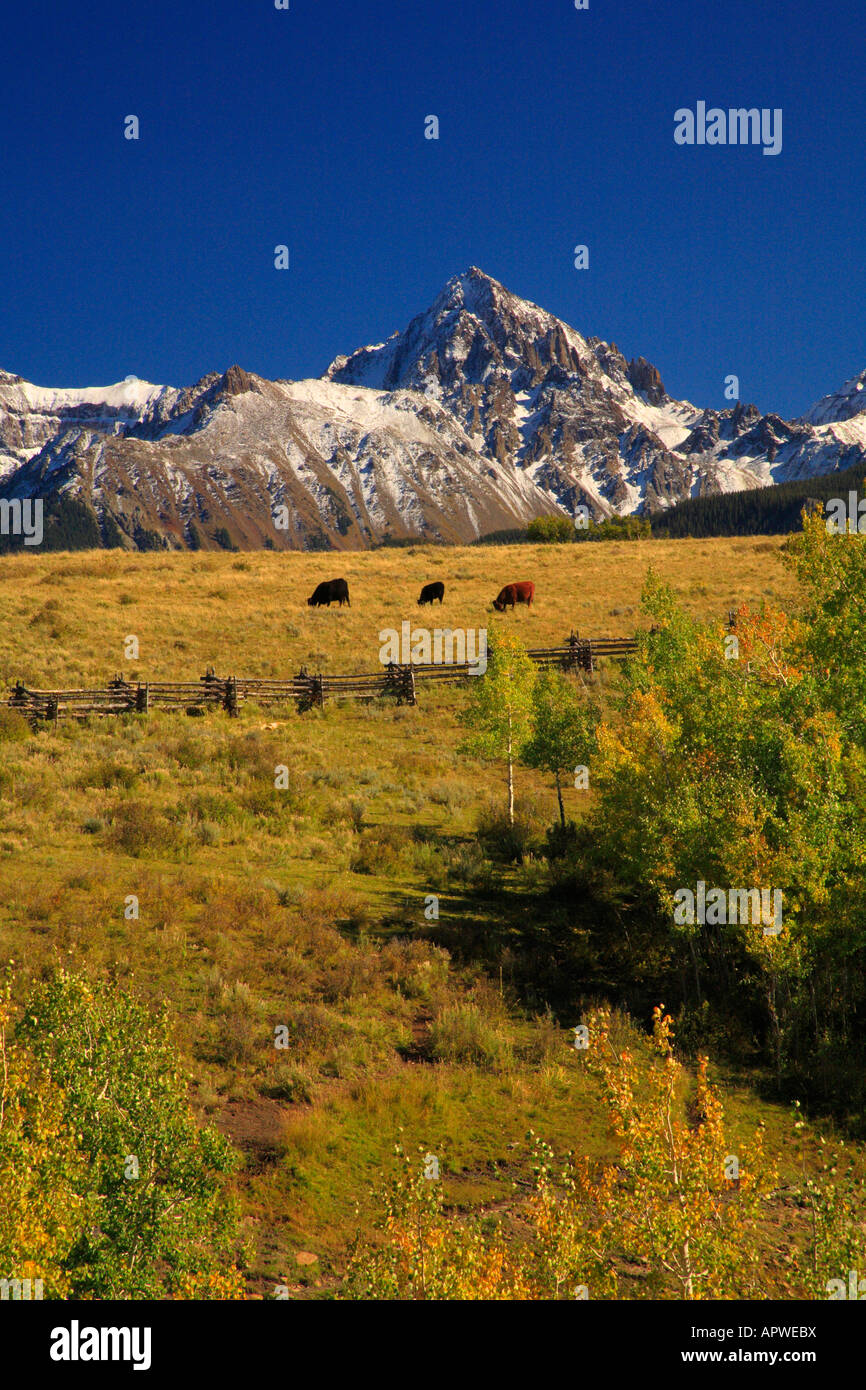 Dallas divide cattle hi-res stock photography and images - Alamy