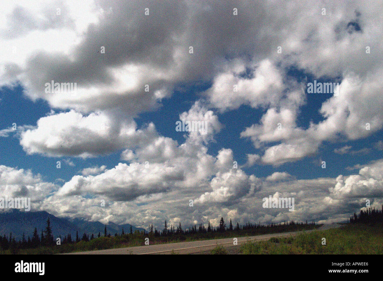 country road Alaska Stock Photo - Alamy