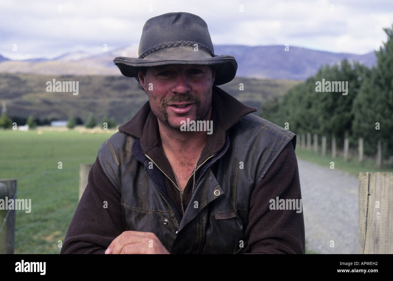 Sheep farmer on South Island, New Zealand Stock Photo - Alamy