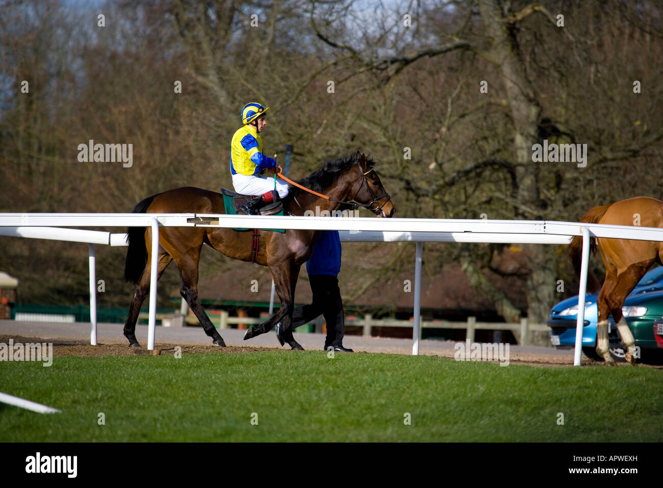 Lingfield park horse hi-res stock photography and images - Alamy