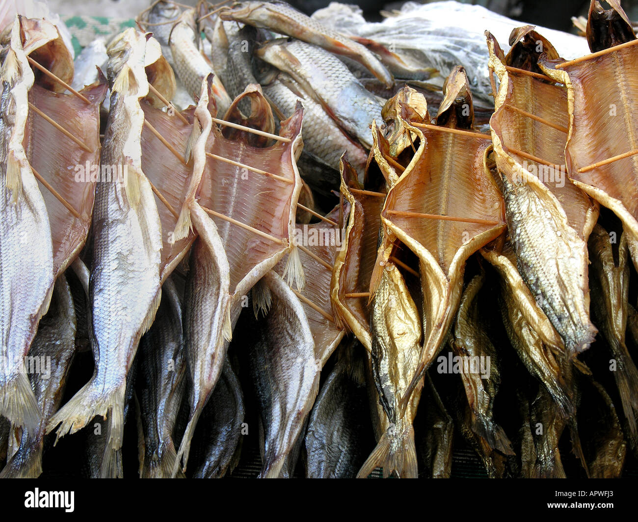 Fish market Lake Baikal Russia Stock Photo - Alamy