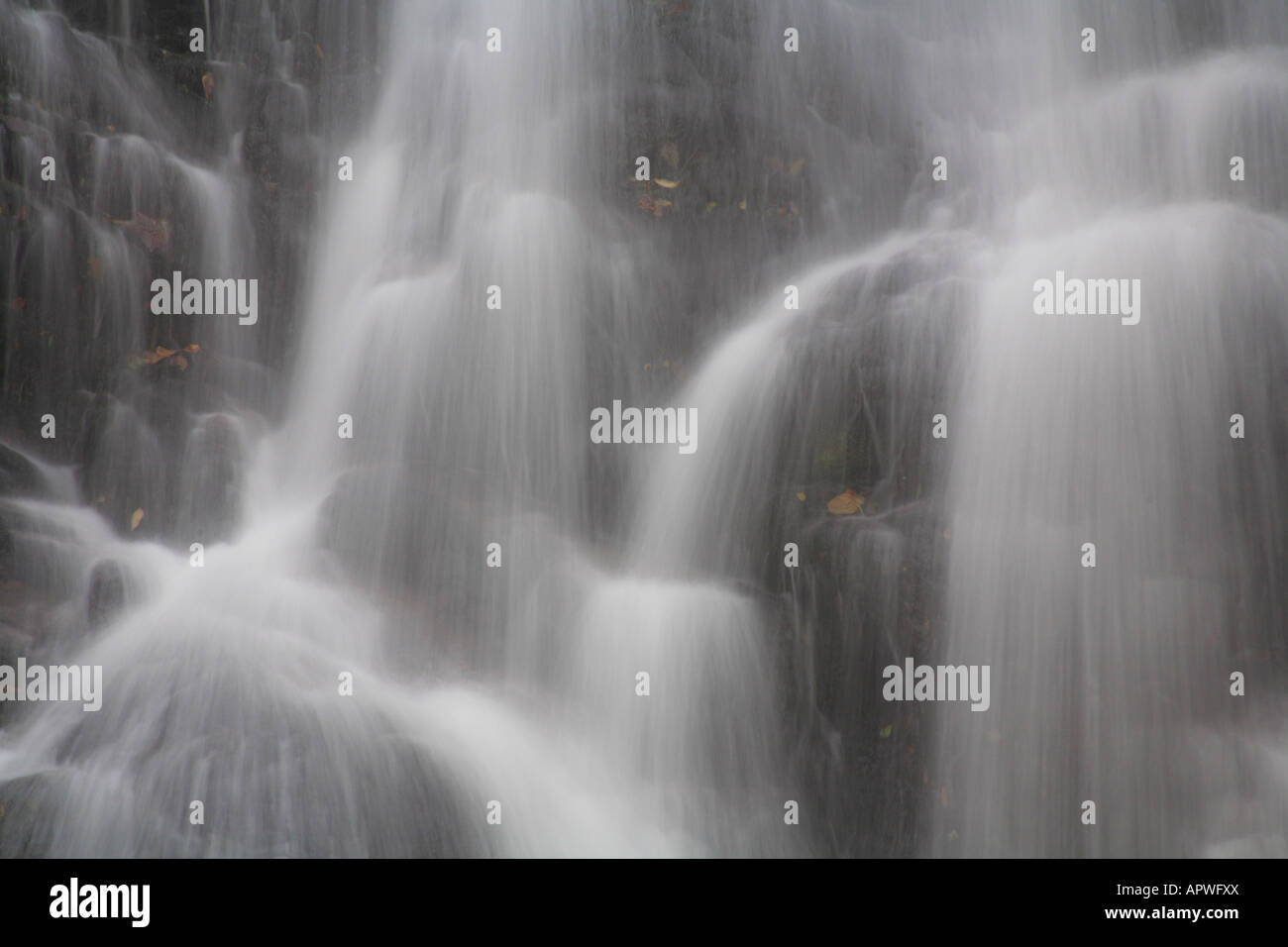 Amicalola Falls, Amicalola Falls State Park, Juno, Georgia, USA Stock ...