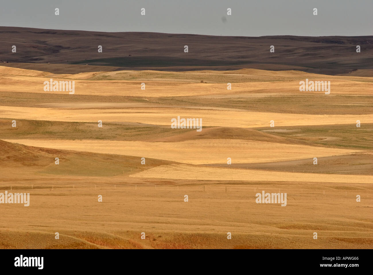 Rockglen saskatchewan hi-res stock photography and images - Alamy