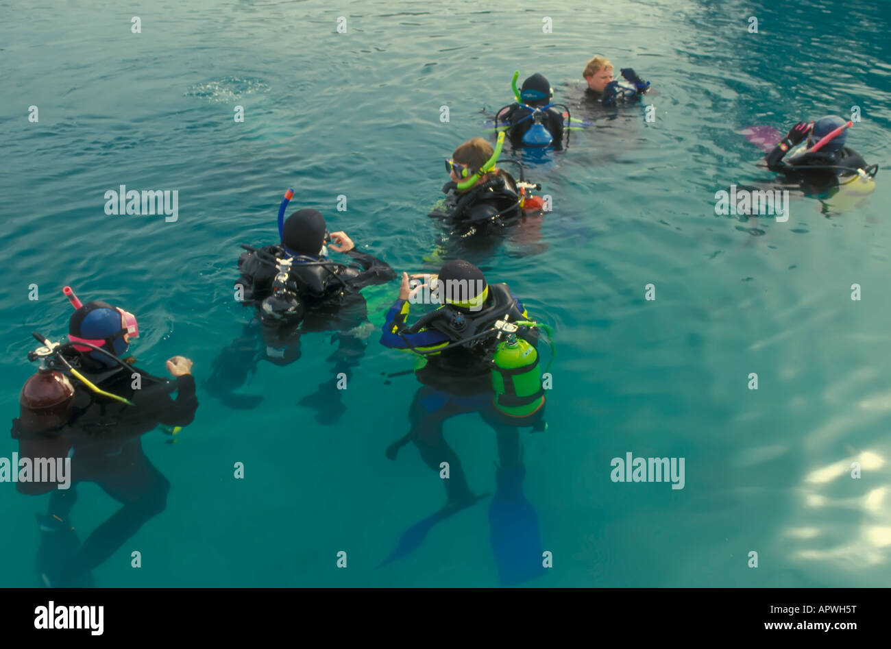 Group of seven scuba divers in wet suits float on gree water surface of ...